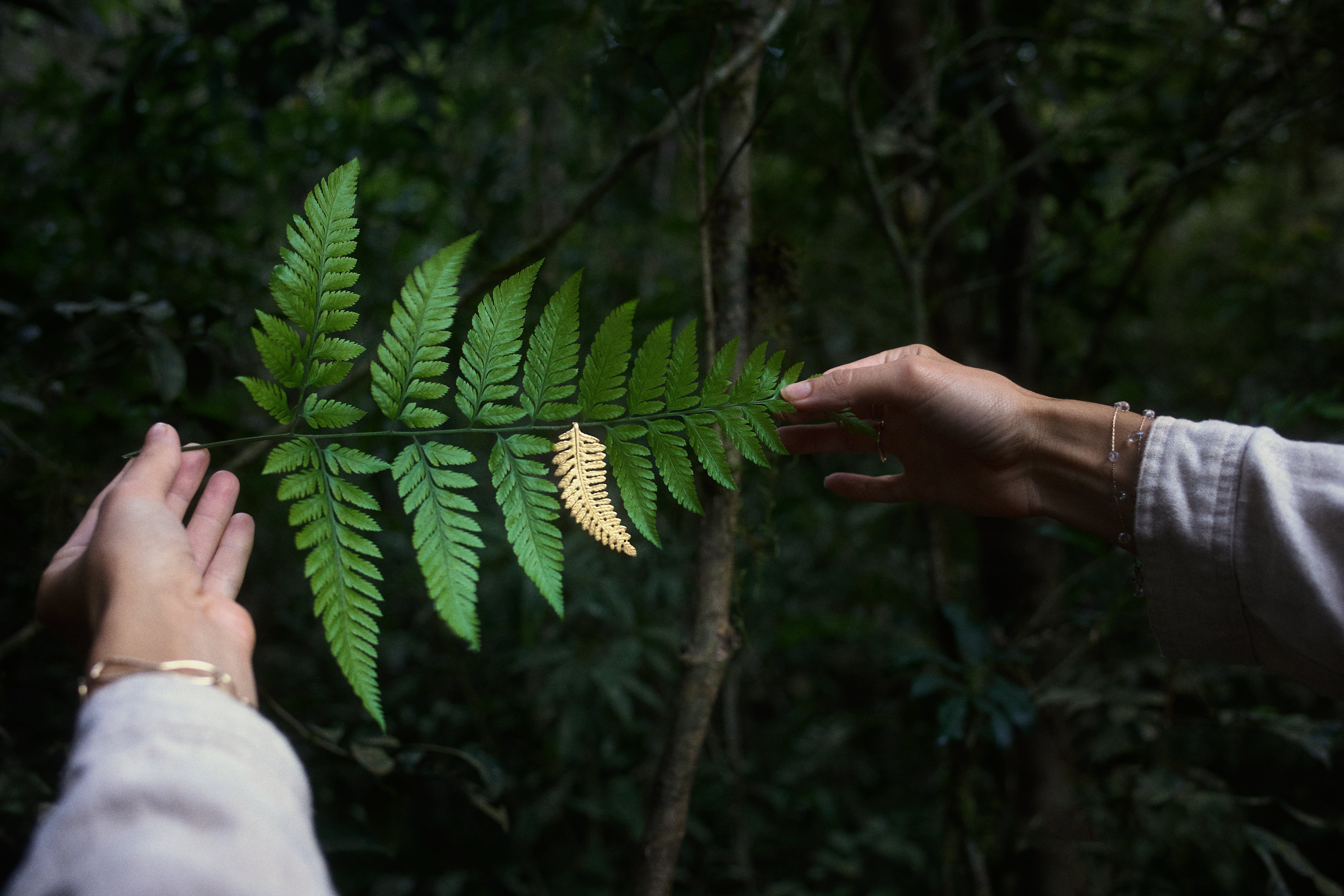 In situ: Iguazu – Leather Stone Metal